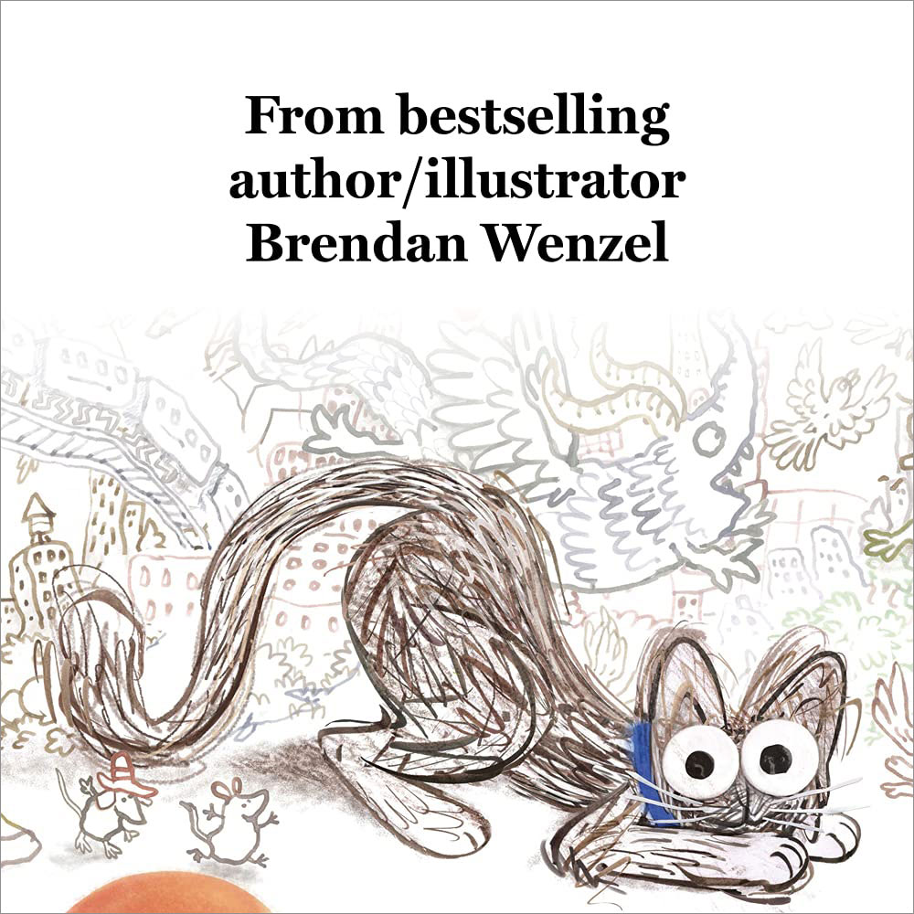 Inside Cat | Reading Rockets