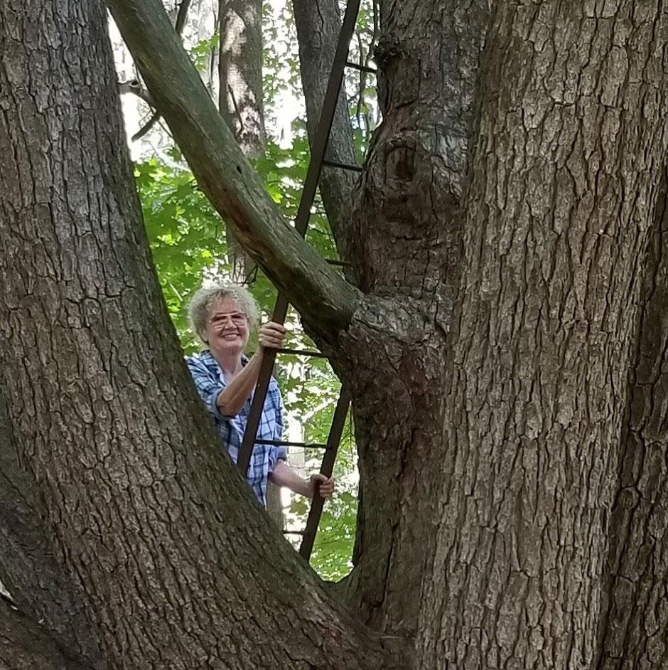Where the Trees Take You | Reading Rockets
